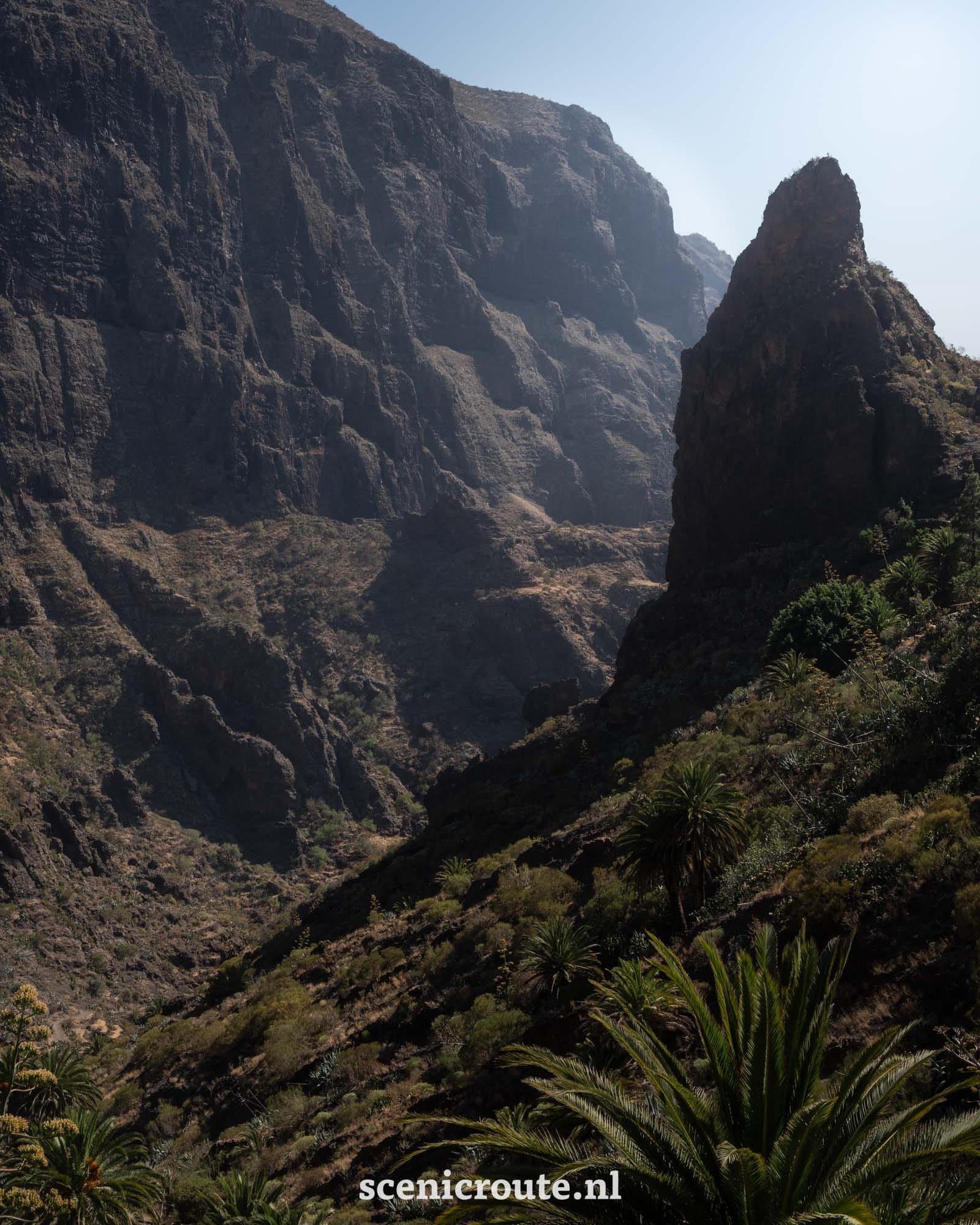 Masca: de schilderachtige vallei van Tenerife | Scenic Route