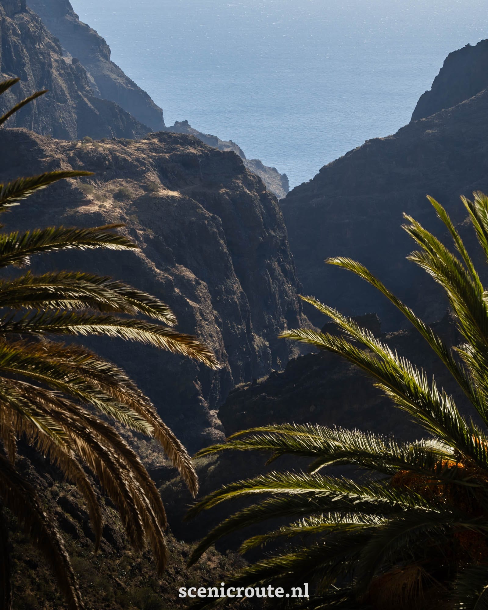 Masca: de schilderachtige vallei van Tenerife | Scenic Route